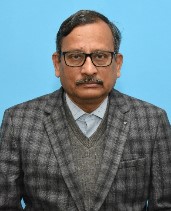 Subrata Basu Ray